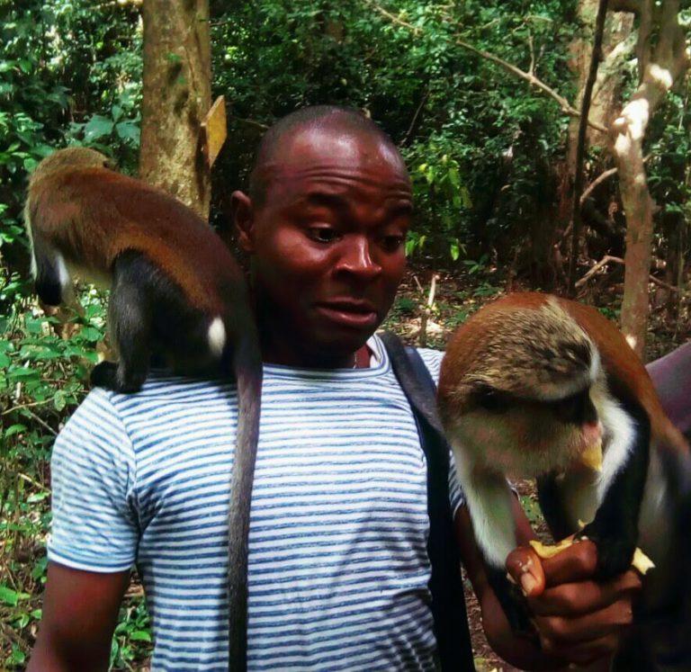 Tafi Atome: Here Mona Monkeys Live in Harmony with Human – www ...